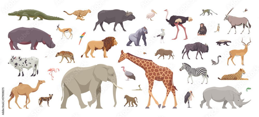 Flat set of africans animals. Isolated animals on white background ...