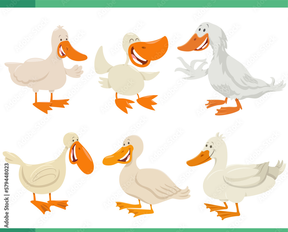 cartoon funny ducks farm animal characters set Stock Vector | Adobe Stock