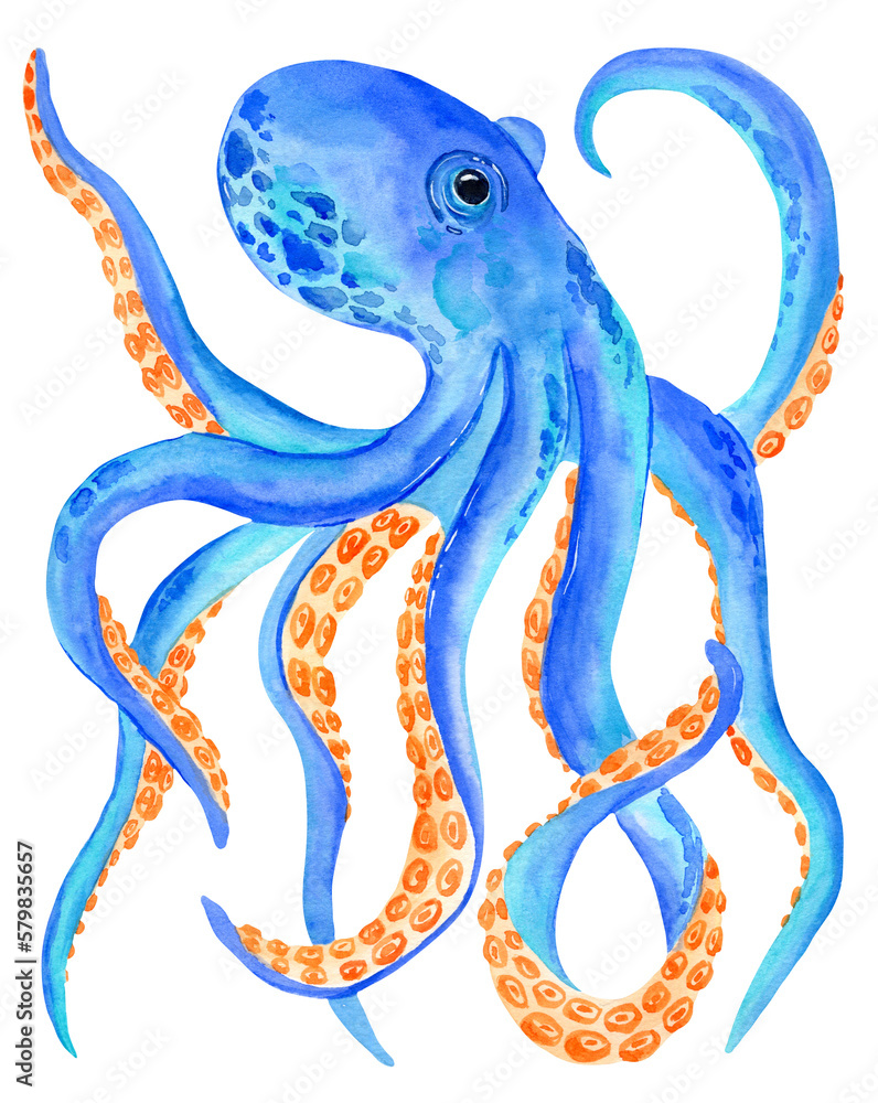 Watercolor cute blue octopus isolated on white background. Hand ...