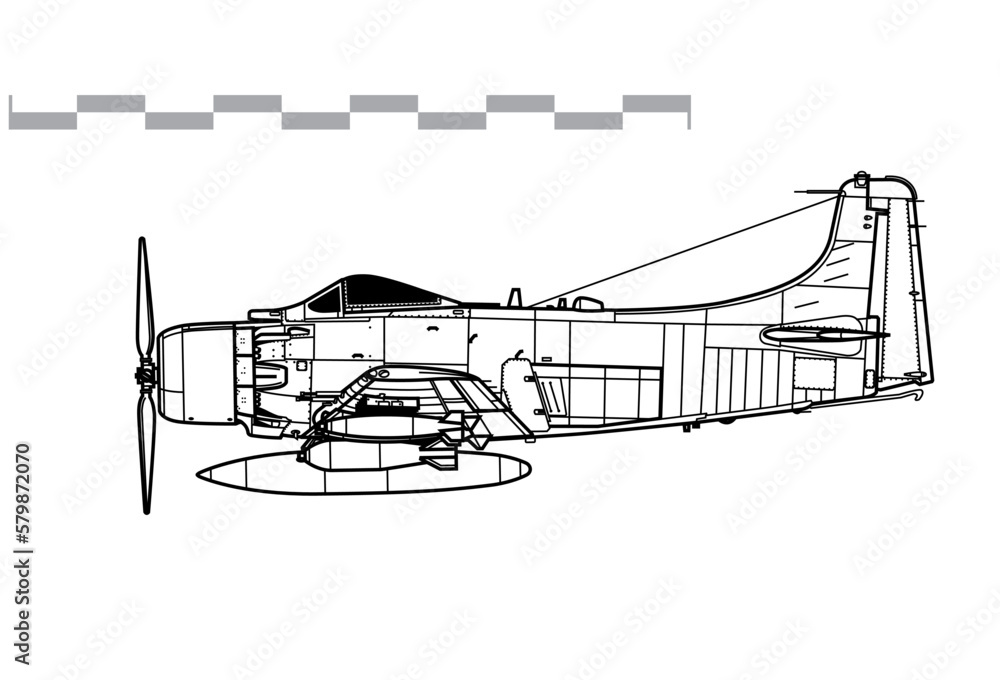 Douglas A-1H Skyraider. Vector drawing of attack aircraft. Side view ...