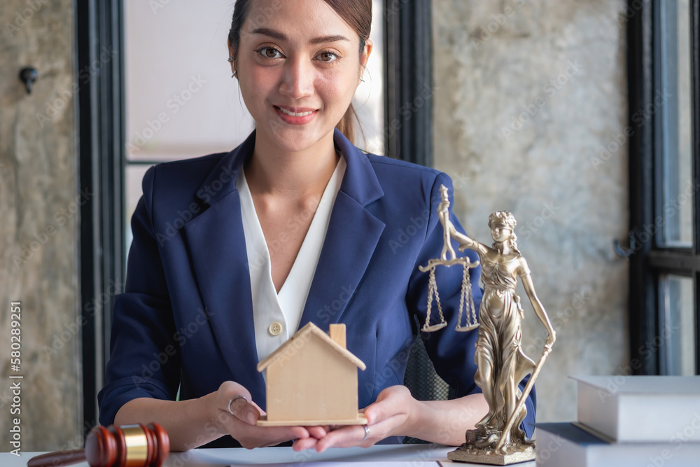 Law, Counsel, Agreement, Contract, Lawyer, Advising on litigation ...