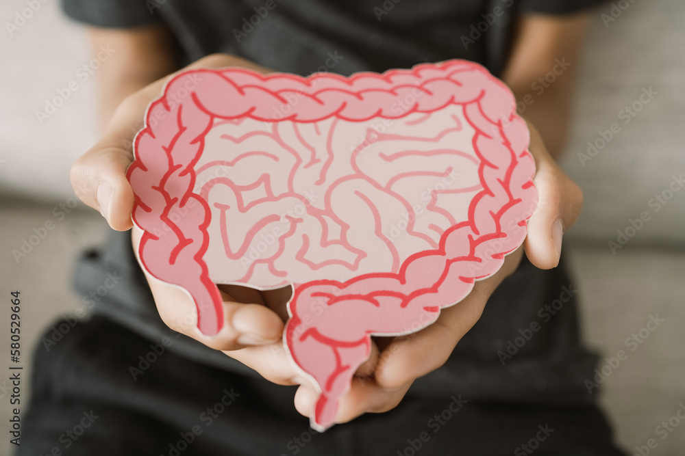 hands holding intestine shape, healthy bowel digestion, leaky gut ...