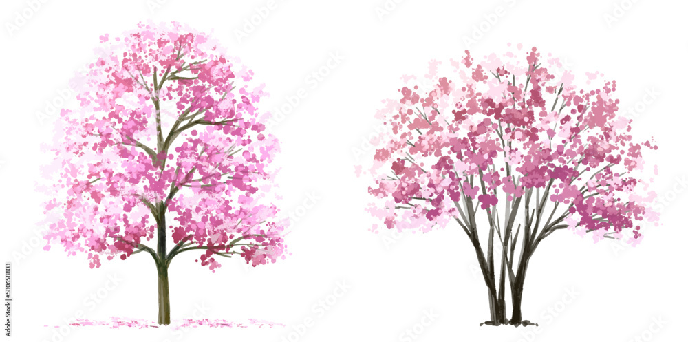 Vector watercolor blooming flower tree side view isolated on white ...