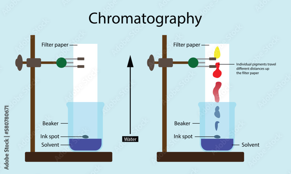 illustration of chemistry, chromatography analytical method for the separation of a mixture into ...