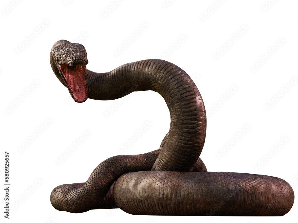 Titanoboa, prehistoric snake, largest serpent species ever discovered ...