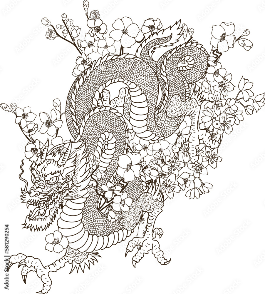 Traditional Japanese Dragon Drawings