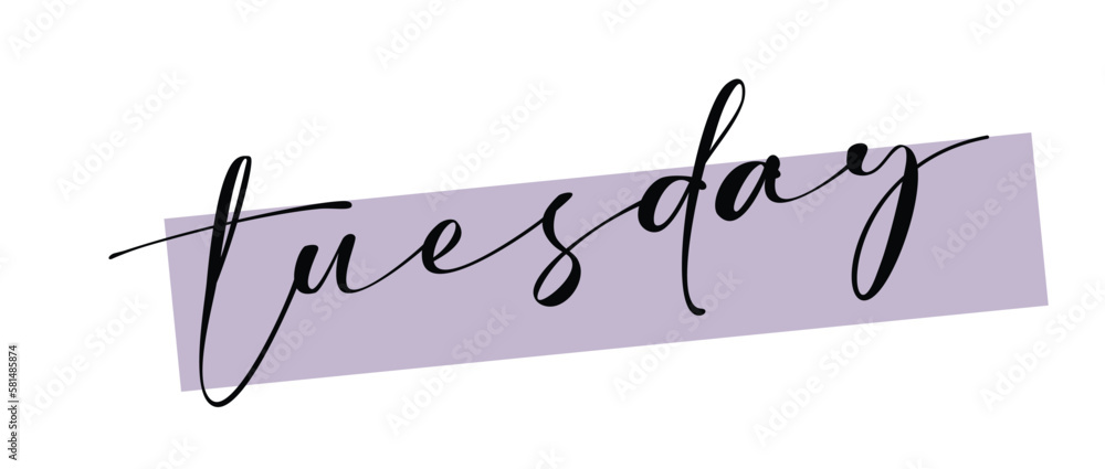 thank you message and Tuesday in PNG and Tuesday design banner flyer ...