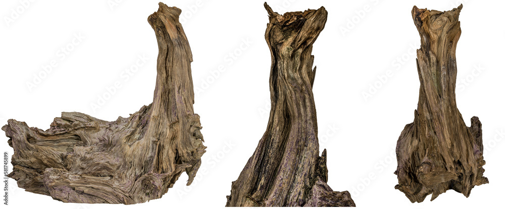 Photo Stock collection of a piece of a root / trunk river wood ...