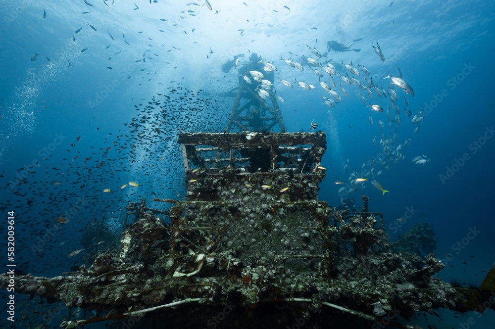 Underwater shot of HTMS Chang wreck ship with school of fish and scuba ...