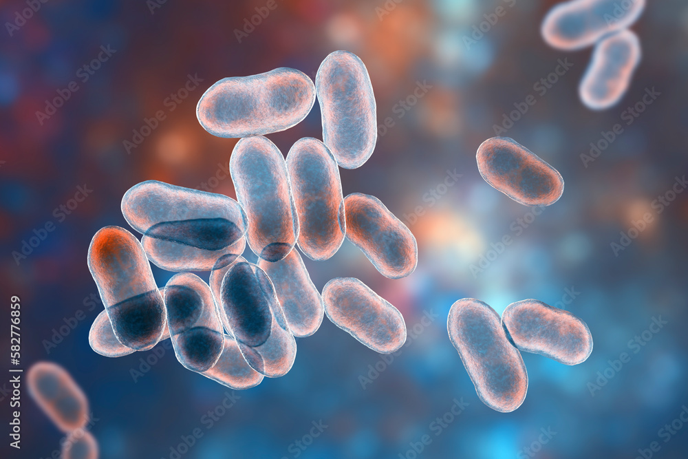 Prevotella bacteria, 3D illustration. Gram-negative anaerobic bacteria ... Prevotella bacteria, 3D illustration. Gram-negative anaerobic bacteria ...