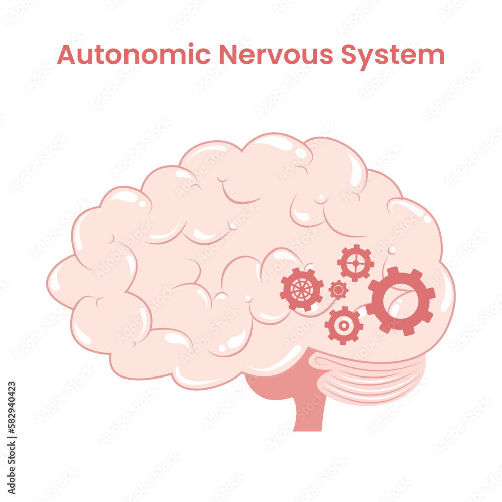 Autonomic Nervous System cartoon brain with gears working in the brain ...
