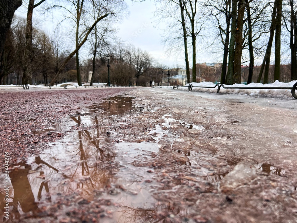 dirty melting snow and slush on park lane on early Spring. naked trees ...
