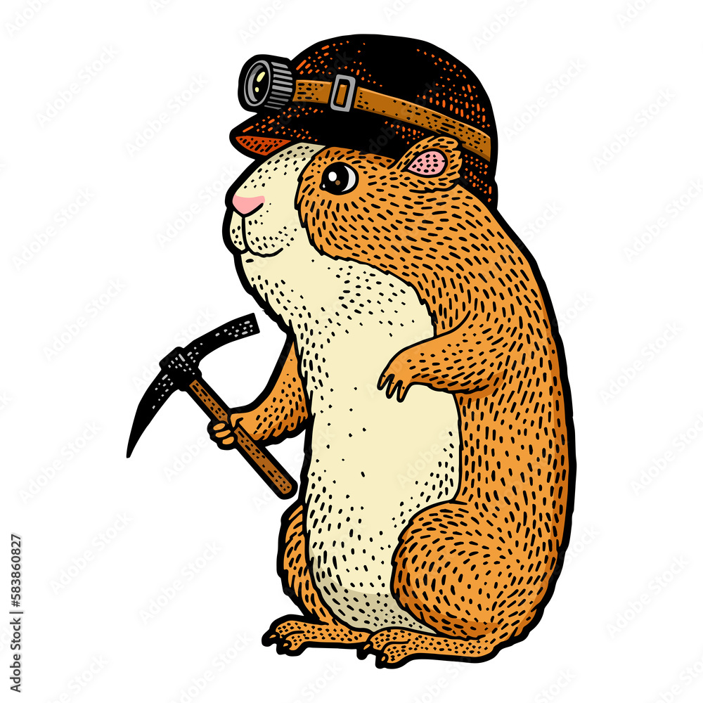 Cartoon guinea pig miner sketch PNG illustration with transparent ...