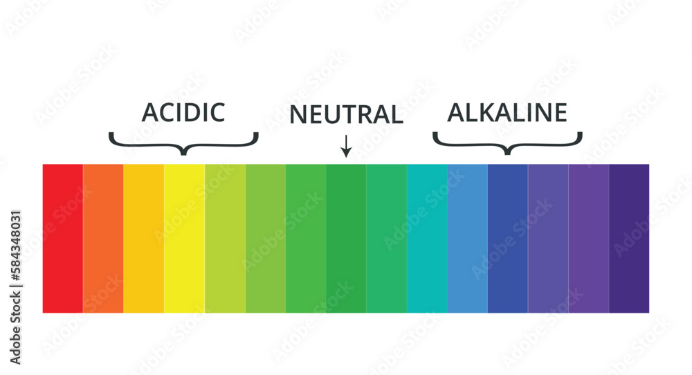 Ph Scale with Labels and Spectrum Indicators. Stock Vector | Adobe Stock