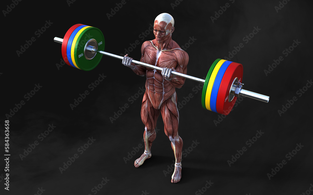 3d Illustration of a muscular man figures pose with skin and muscle map ...