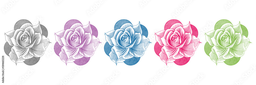 Nice Roses Vector artwork coloring page, coloring book, black outline ...