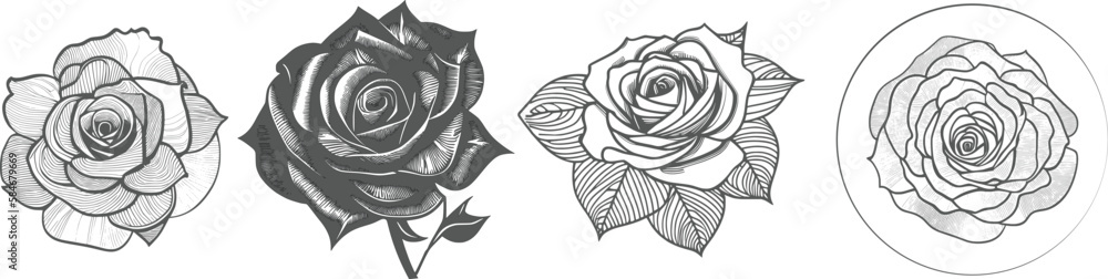 Nice Roses Vector artwork coloring page, coloring book, black outline ...