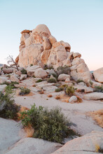 Joshua Tree Mountain Free Stock Photo - Public Domain Pictures