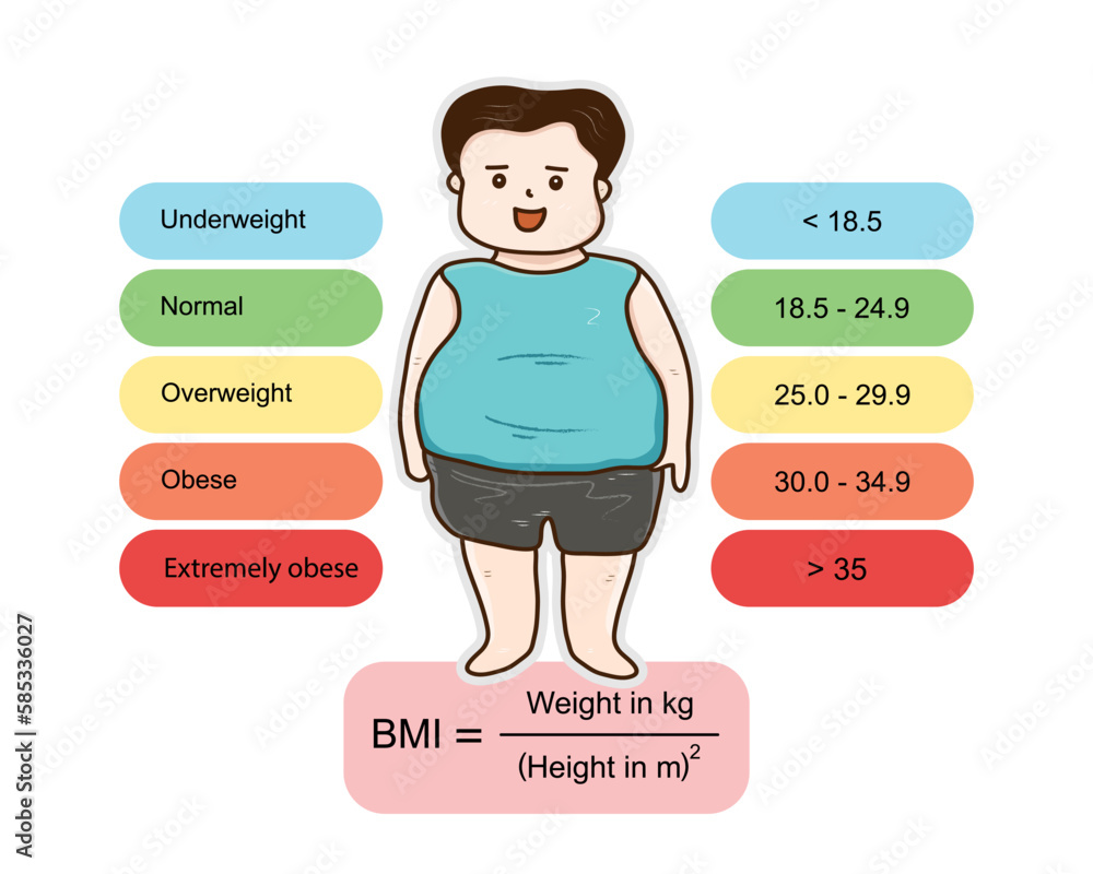 Image vectorielle Stock Infographic of body mass index range show weight status from underweight ...