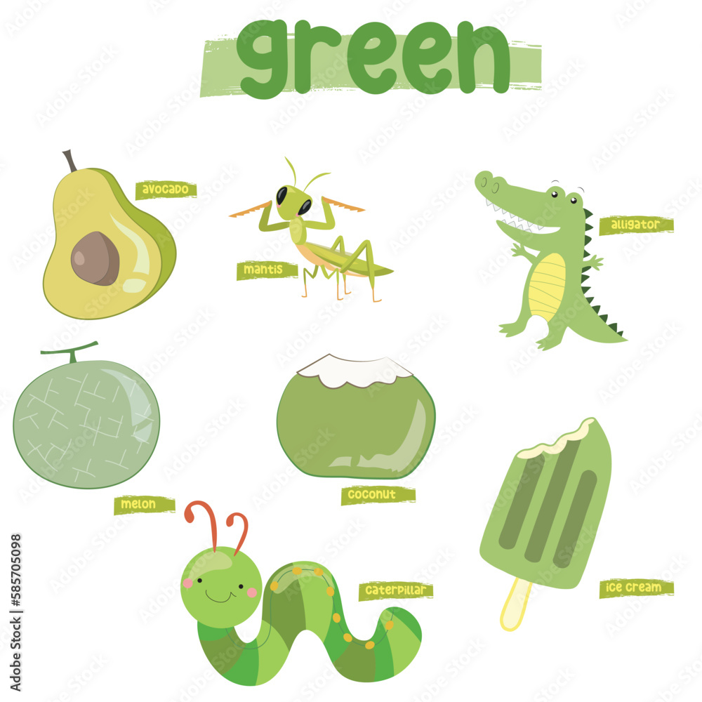 Set of green color objects. Primary colours flashcard with green ...