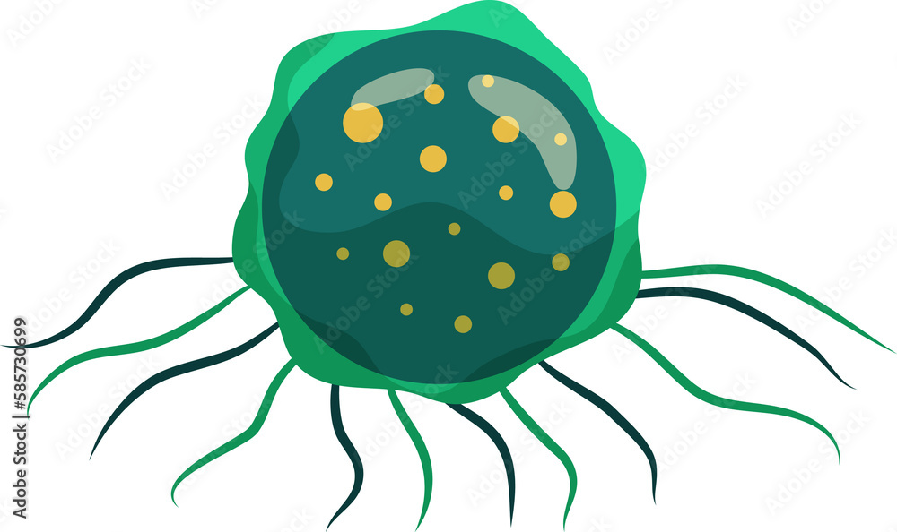Examples of gram-negative and gram-positive bacteria in magnifying ...