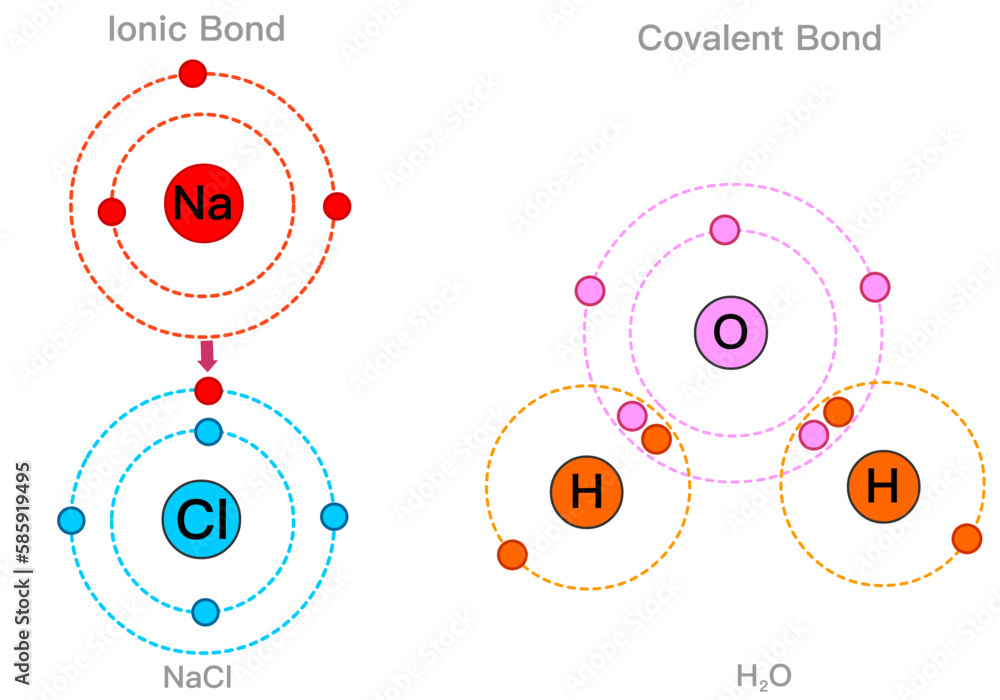 Ionic covalent bonds examples. Chemical structural models. Atoms, protons, electrons transfer ...