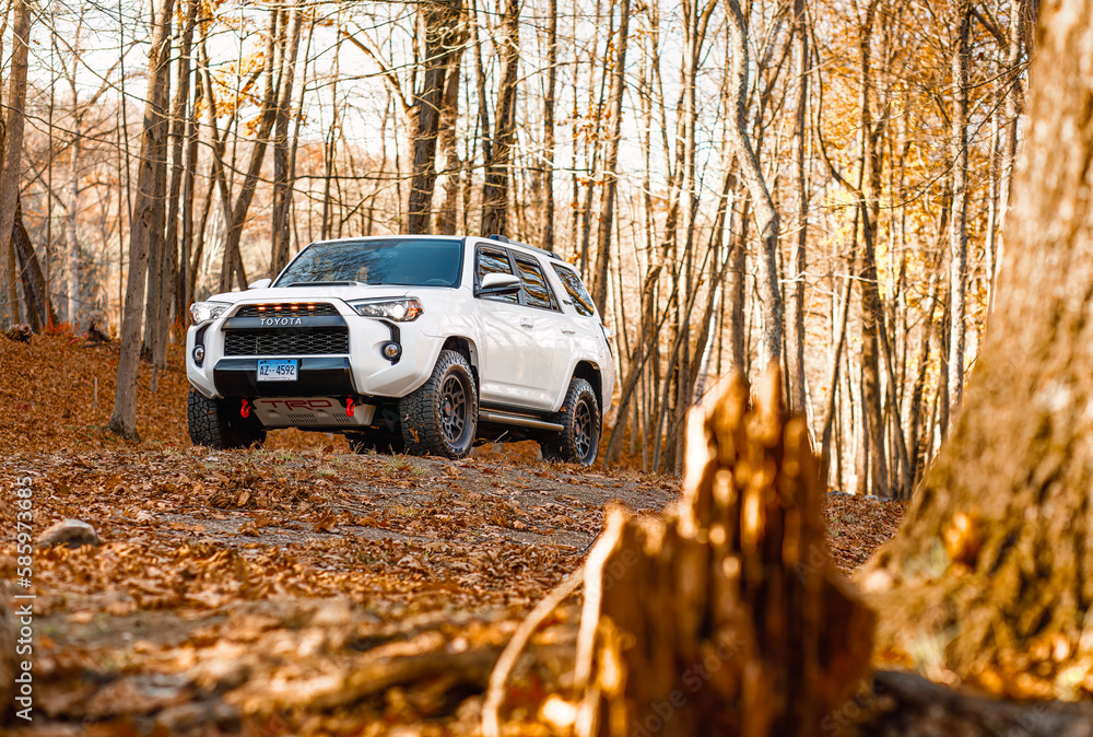 Toyota 4Runner TRD Pro SUV off road, dirt trail, autumn Fall, woods ...