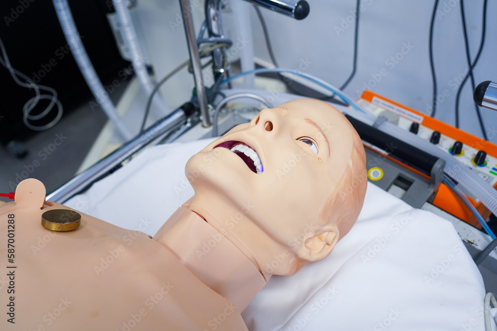 Nurses and emergency nurses undergo training at School of Medicine on ...