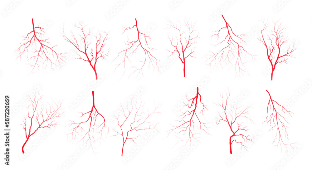 Human eye blood veins vessels silhouettes vector illustration set ...