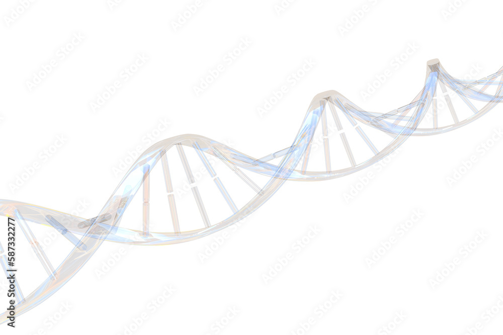 Illustrative image of transparent DNA Stock Photo | Adobe Stock