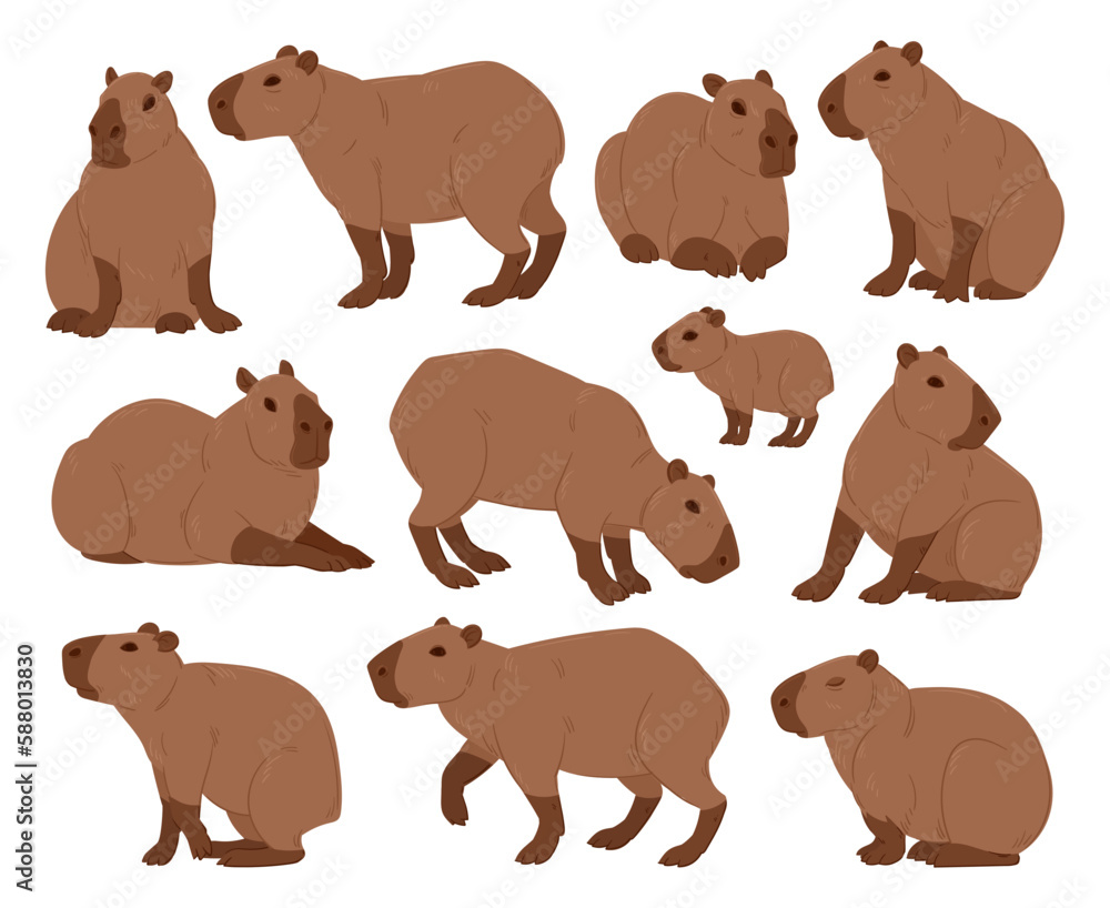 Cartoon capybara. Cute capybaras, funny semi-aquatic wild animals ...