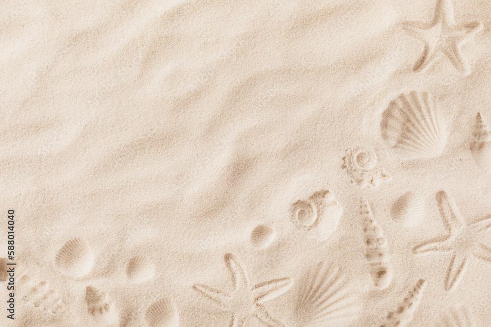 Top view of a sandy beach texture with imprints of exotic seashells and ...