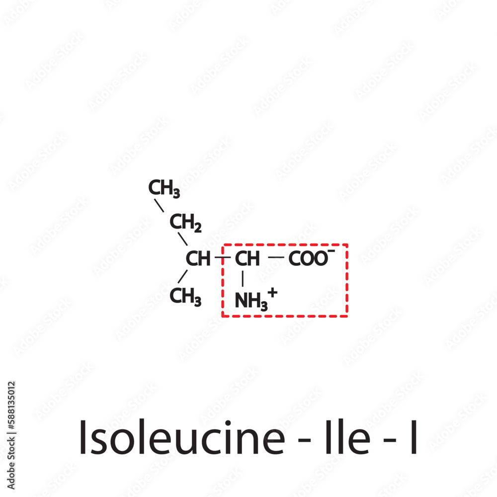 Isoleucine - Ile - I amino acid structure. Skeletal formula with amino group highlighted in red ...