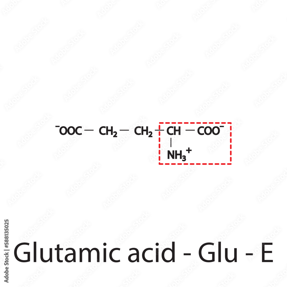 Glutamic acid - Glu - E amino acid structure. Skeletal formula with ...