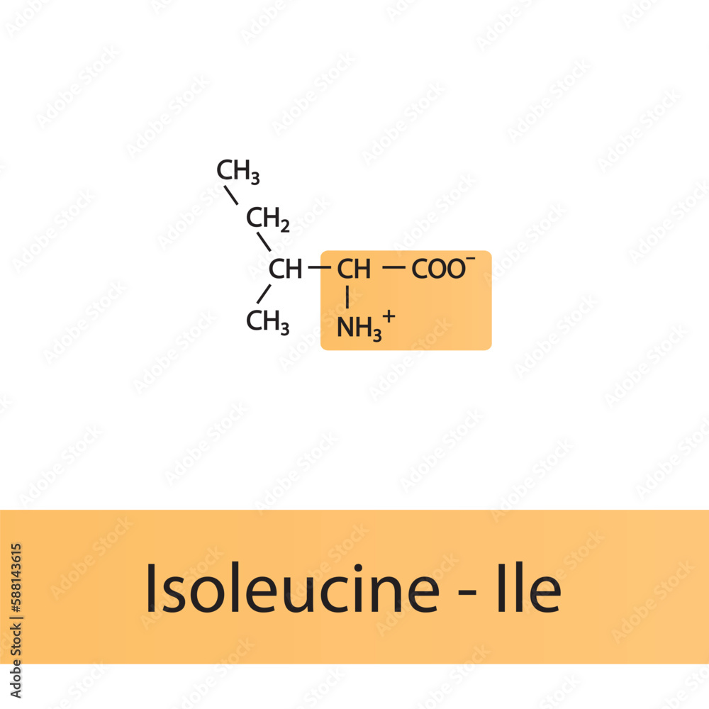 Isoleucine - Ile - I amino acid structure. Skeletal formula with amino group highlighted in ...