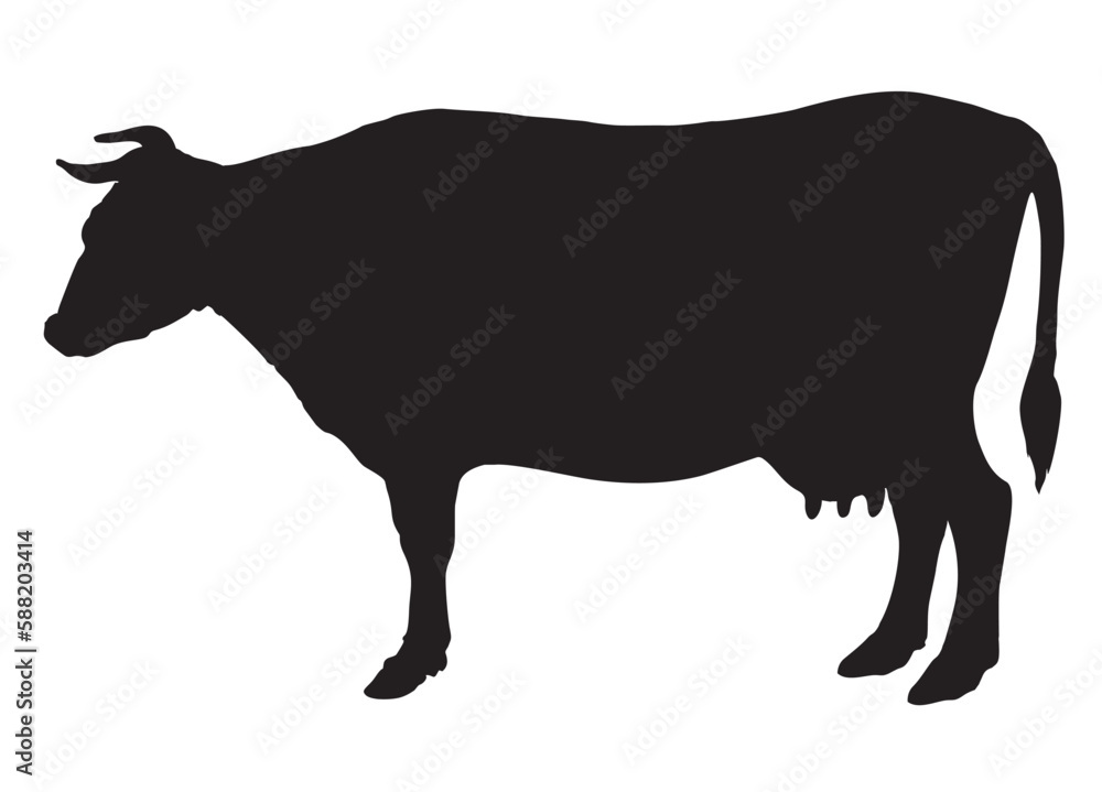 Vector illustration of a black silhouette cow. Cattle. Bull. Black and ...