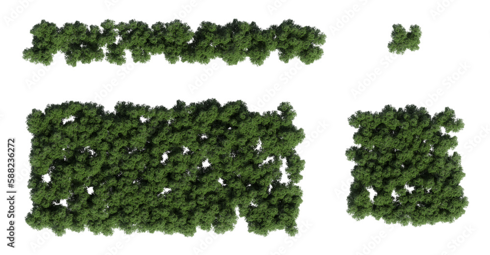 trees in the forest, top view, area view, isolated on transparent ...