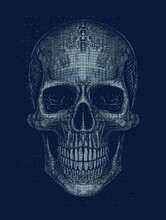 Human Skull, Digital Art Free Stock Photo - Public Domain Pictures