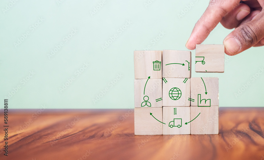 Growing sustainability. LCA-Life cycle assessment concept. Assessing ...
