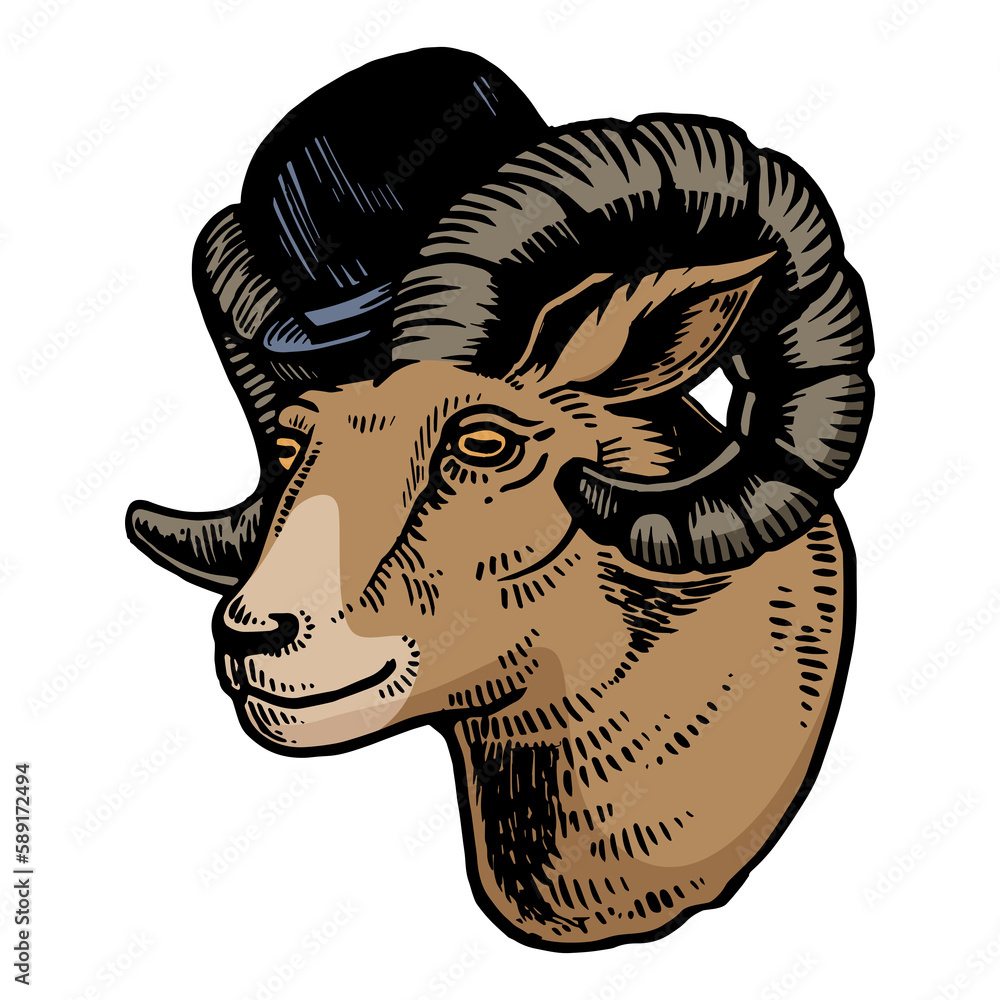 Ram animal in bowler hat color sketch engraving PNG illustration with ...