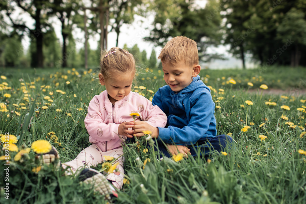 Best friends little brother sharing giving a flower to his little ...
