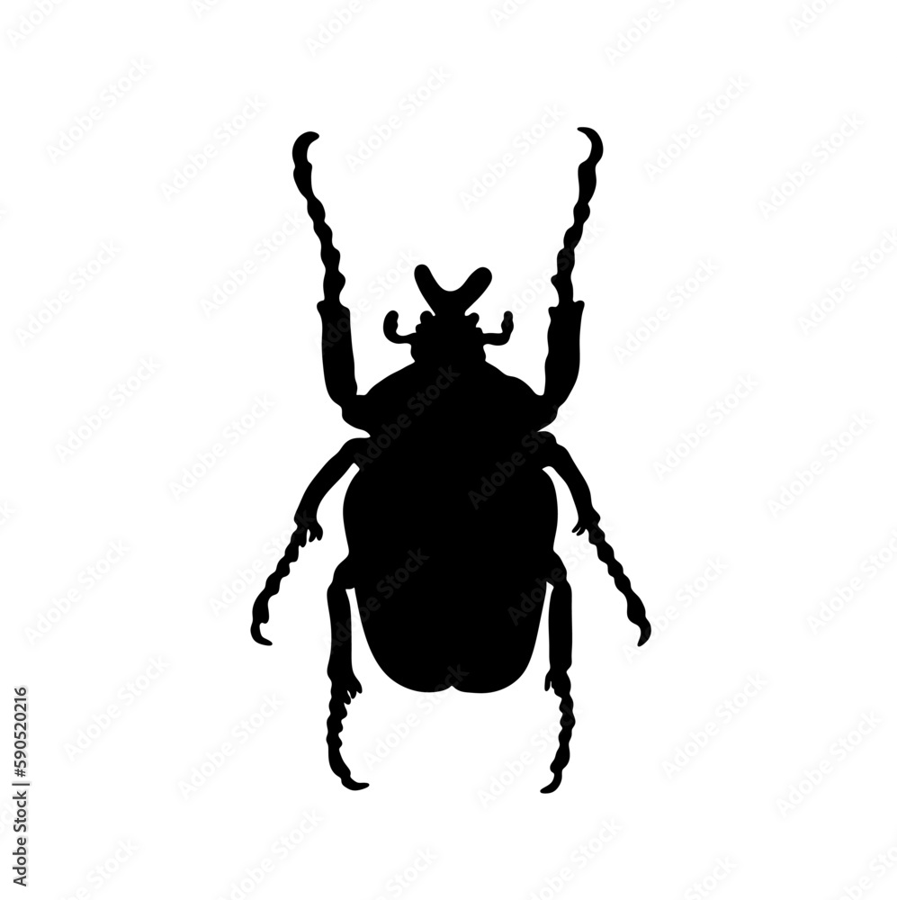 Vector isolated one single big large bug with six legs top view ...