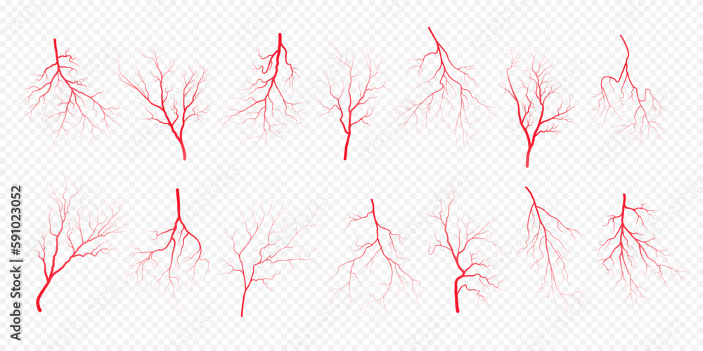 Stock-Vektorgrafik „Human eye blood veins vessels silhouettes vector ...