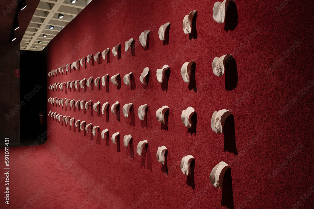 HOBART, TASMANIA, AUSTRALIA - MARCH 02 2023: Great Wall of Vagina, 151 ...
