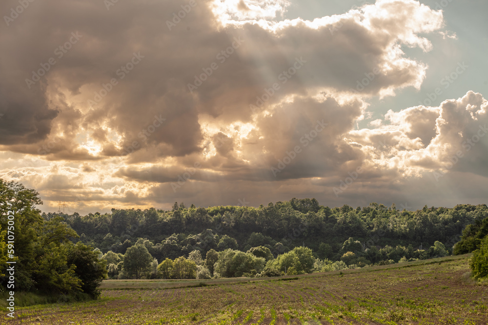 Panorama of a typical serbian rural landscape with farm estates, grass ...