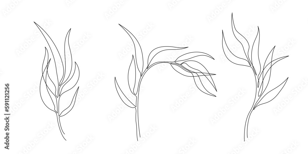 One line drawing of leaves, branches, flowers. Continuous line drawing ...