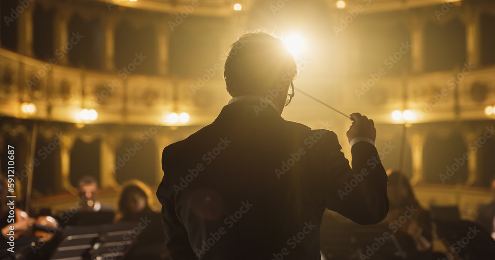 Back View Cinematic shot of Conductor Directing Symphony Orchestra with ...