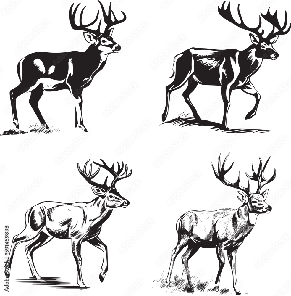 Whitetail Buck, dynamic pose simple graphic, cartoon vector art ...