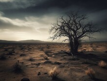Desolate Tree Free Stock Photo - Public Domain Pictures