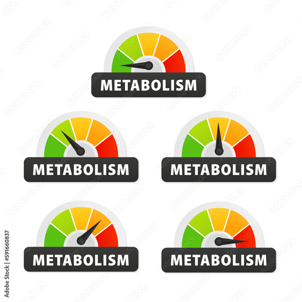 Metabolism icon on speedometer. High Metabolism meter. Metabolism level ...